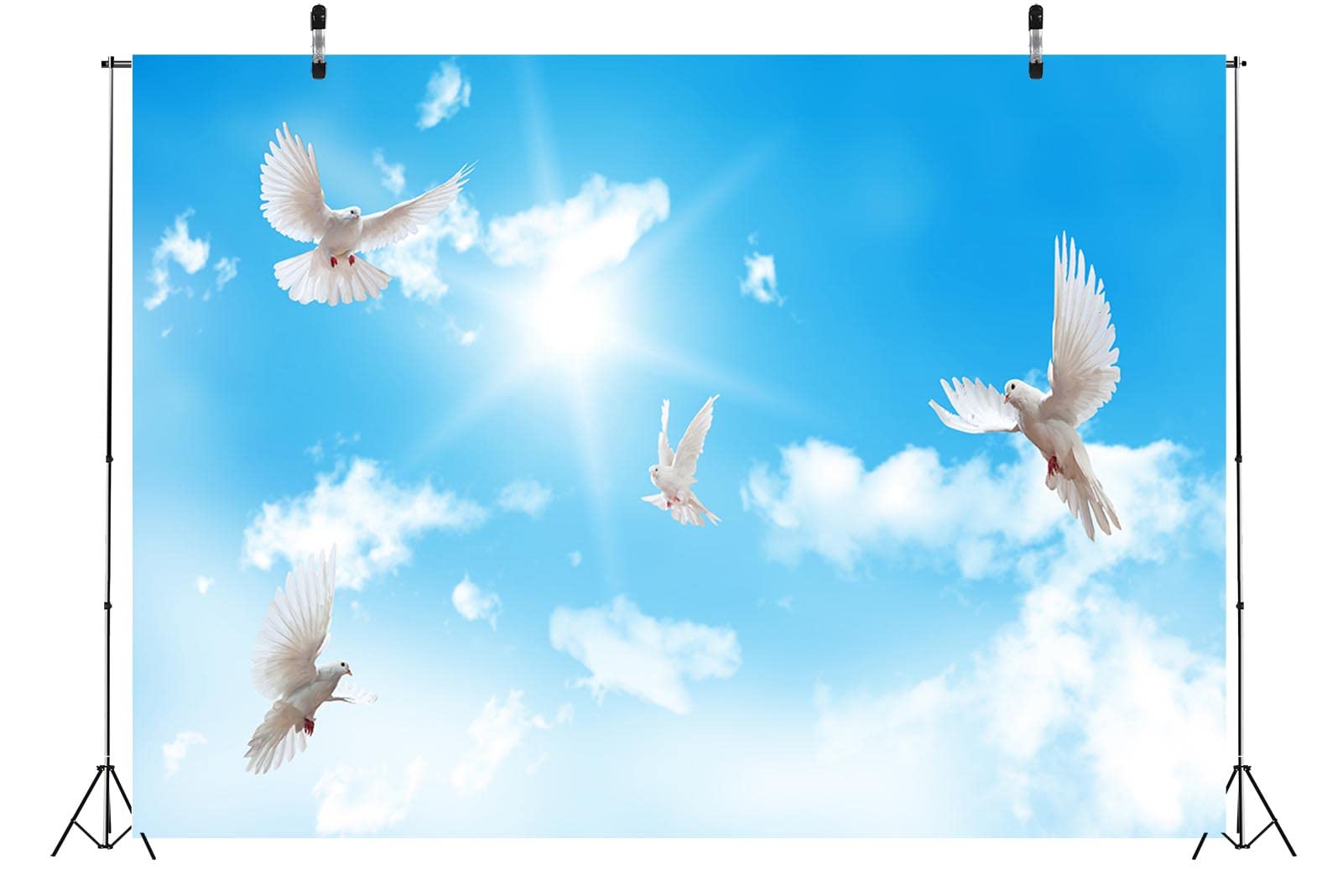Christian Dove Backgrounds