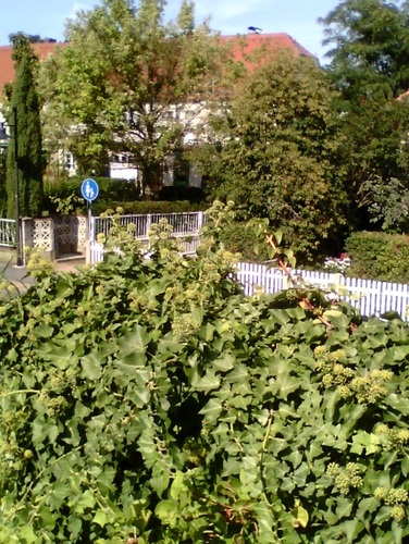 Doro PhoneEasy 622 Großtastenhandy im Klappdesign schwarz/mocca: Amazon ...