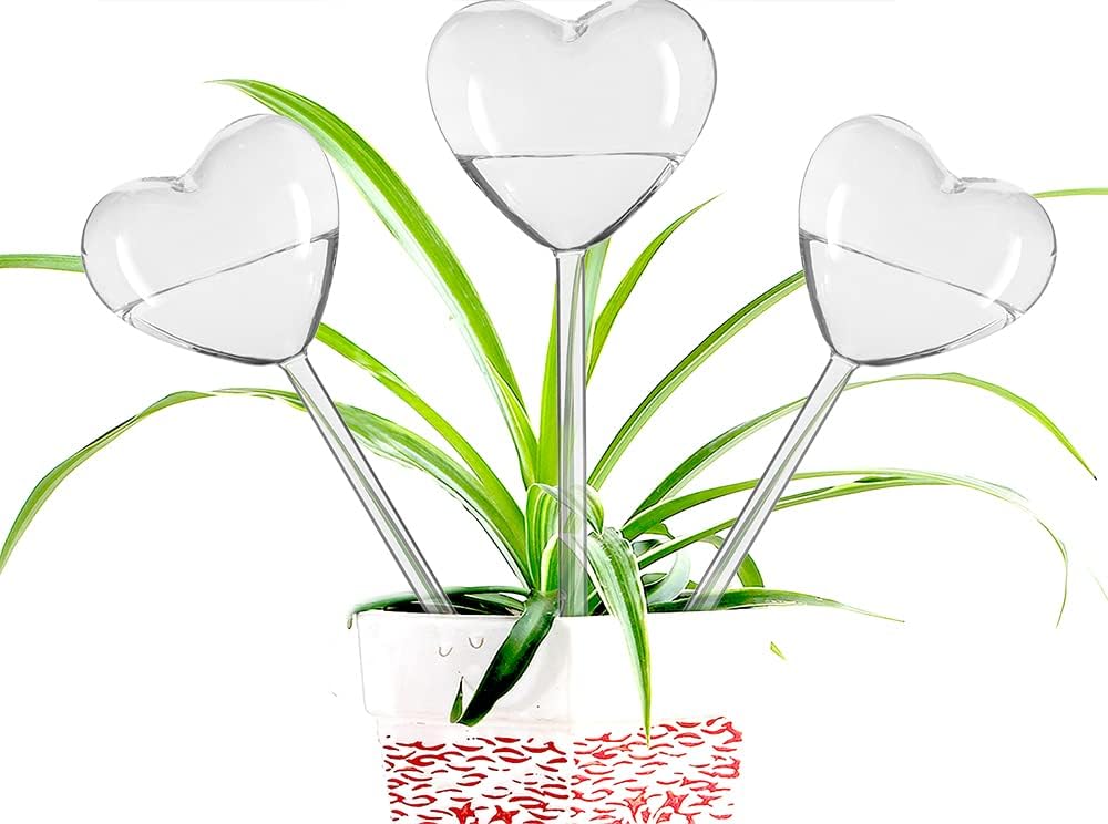 Amazon.com: Ahhute Glass Watering Globe Self Watering Spikes- Plant ...