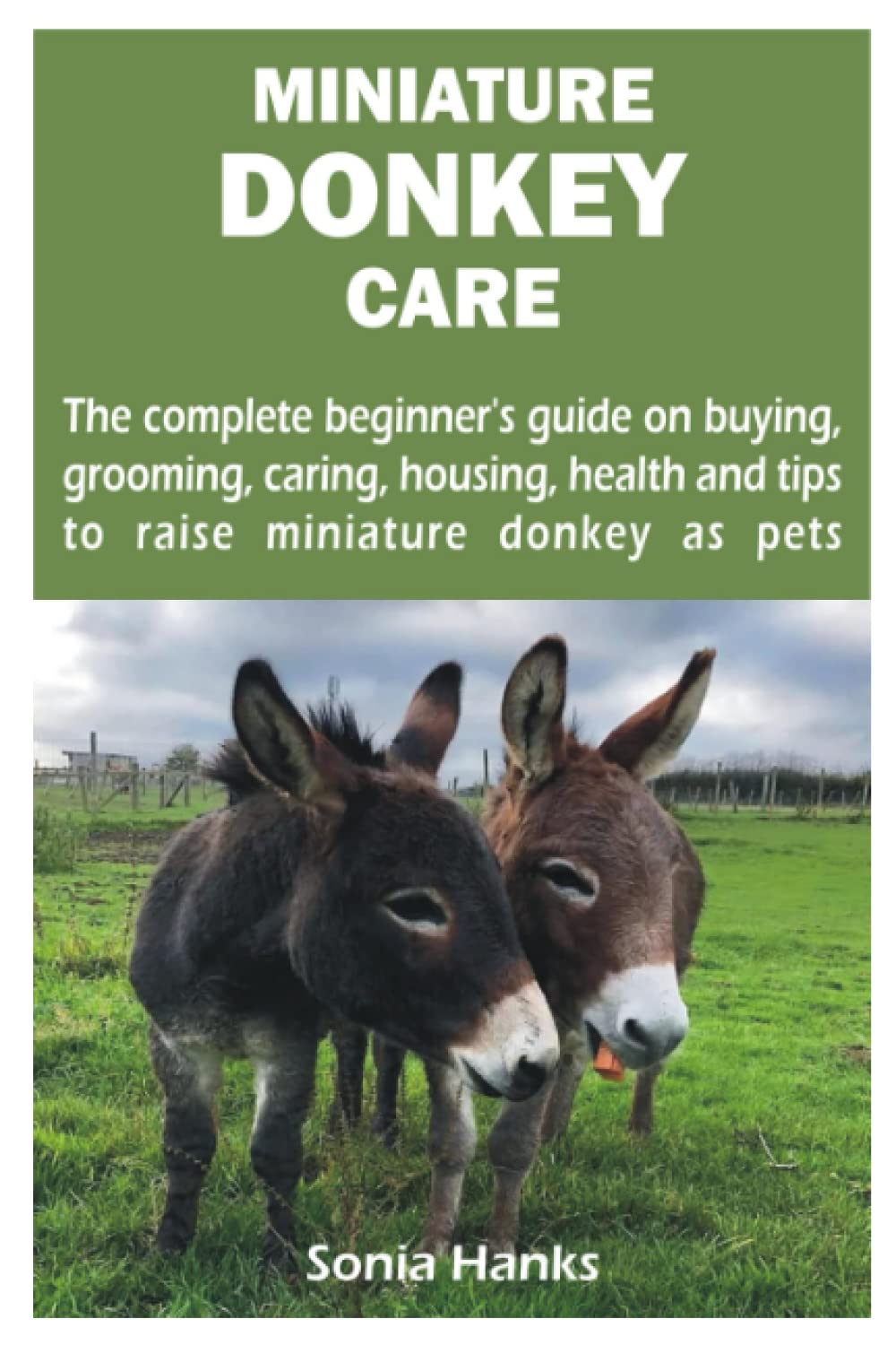 MINIATURE DONKEY CARE: The complete beginner’s guide on buying ...