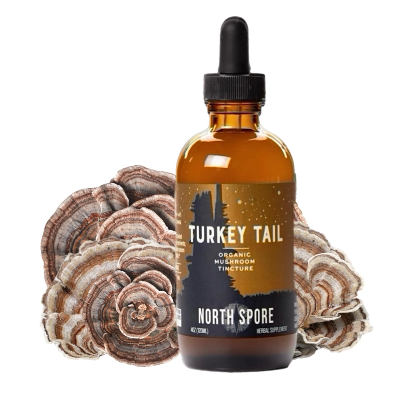 Amazon.com: North Spore Organic Turkey Tail Tincture | Mushroom Supplement for Immune Wellness ...