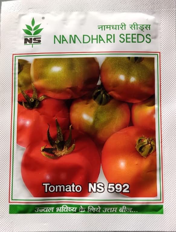 Namdhari Seeds, Tomato Seeds NS 592-3000 seeds : Amazon.in: Garden ...