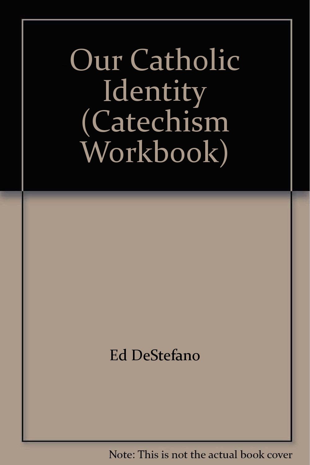 Our Catholic Identity (Catechism Workbook): Ed DeStefano: Amazon.com: Books