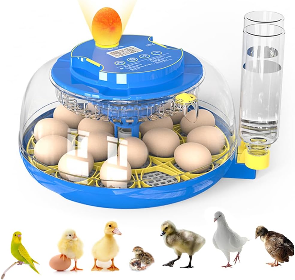 Amazon.com: RongHuiDa Clear Window 18 Egg Incubator,Digital Poultry ...