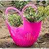 Amazon.com: Hutzler Garden Colander, Green, Large: Home & Kitchen