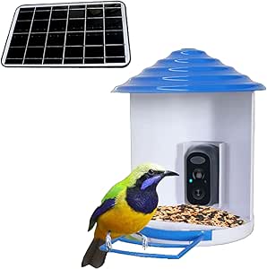 Amazon.com: 1080P HD Bird Feeder Camera with Solar Panel and PIR Motion ...
