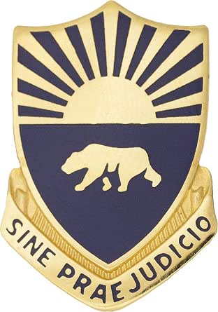 Amazon.com: 508th Military Police Battalion Unit Crest (Sine ...