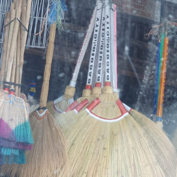 Amazon.com: Handheld Whisk Broom - Walis Tambo Made in The Philippines ...