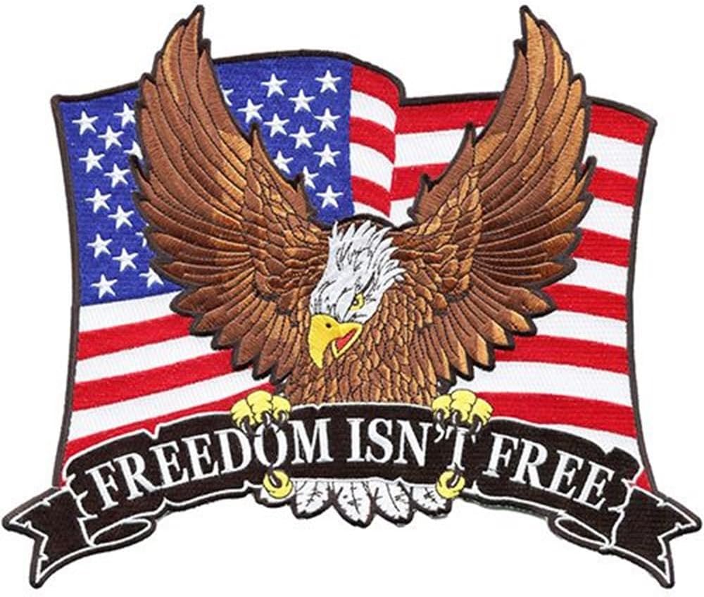 Amazon.com: Falcon Tactical-Large American Flag Eagle Patch - Punk ...