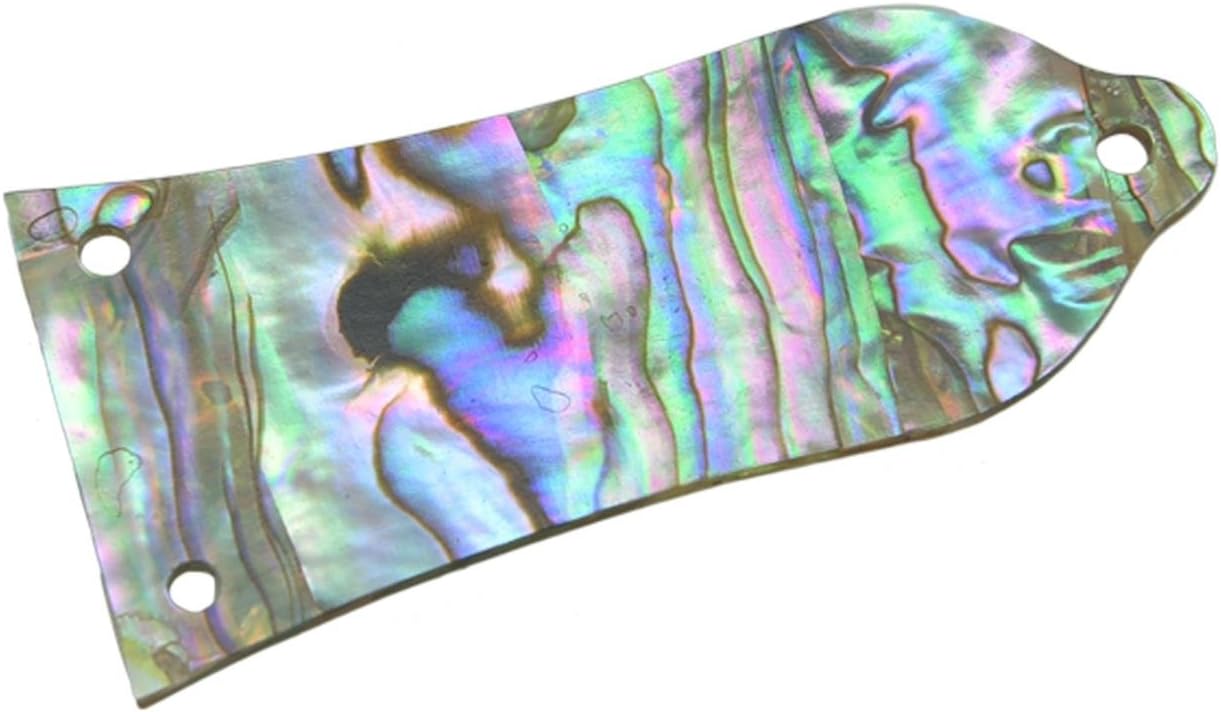 Amazon.com: Thickness 1.5mm(0.059") Nature Paua Abalone Flat Shell ...