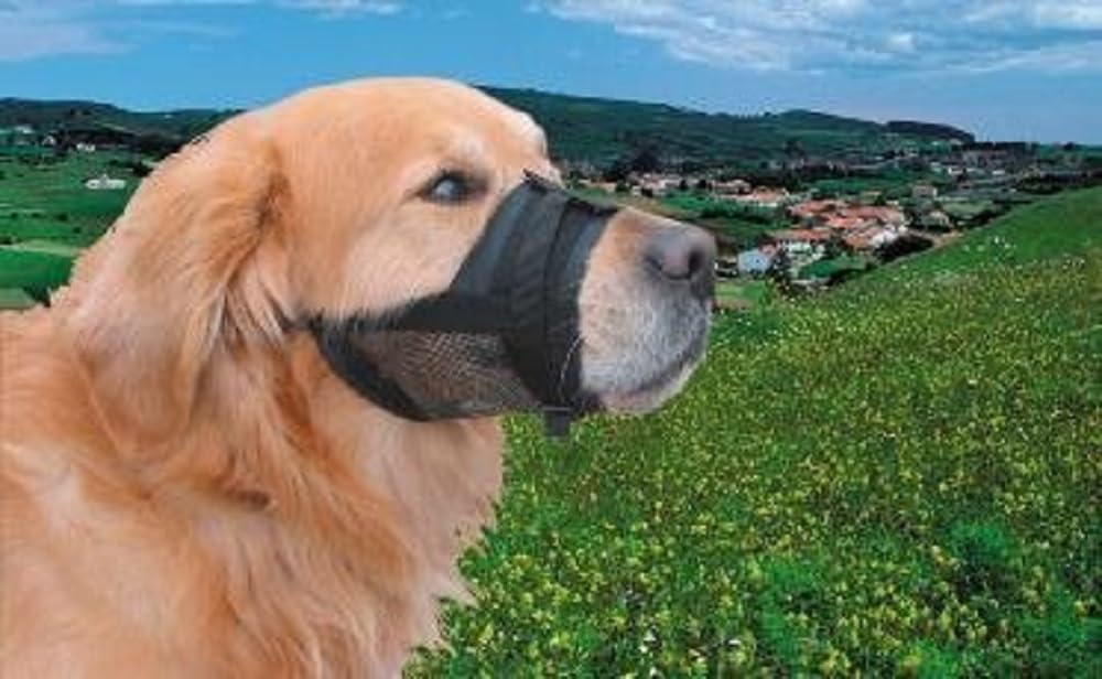 Nobby Nylon Adjustable Muzzle for Dog, M, Size 2 18 - 24 cm, Black ...