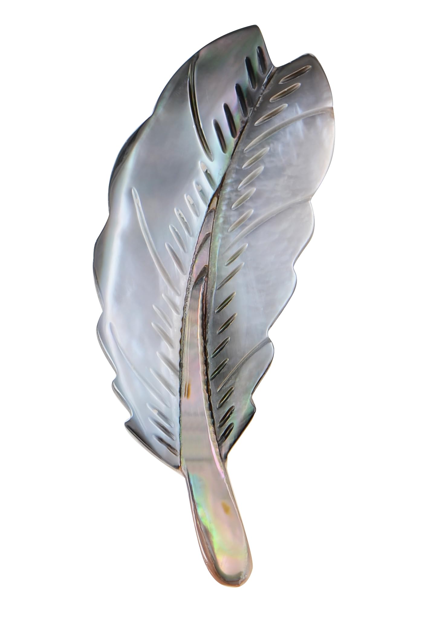 Amazon.com: Alilang Natural Abalone Shell Silver Tone Feather Fashion ...