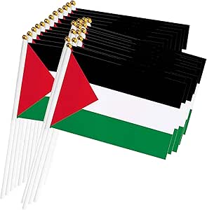 Amazon.com : Little Syohe 24pcs Flags Small Palestine Flag Palestine ...