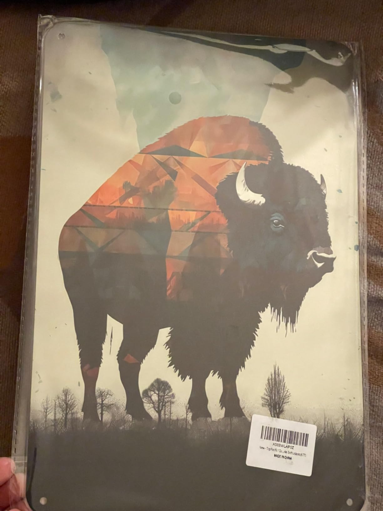 Amazon.com: TopPacific 12x8IN Retro Bison Metal Tin Sign - Vintage ...