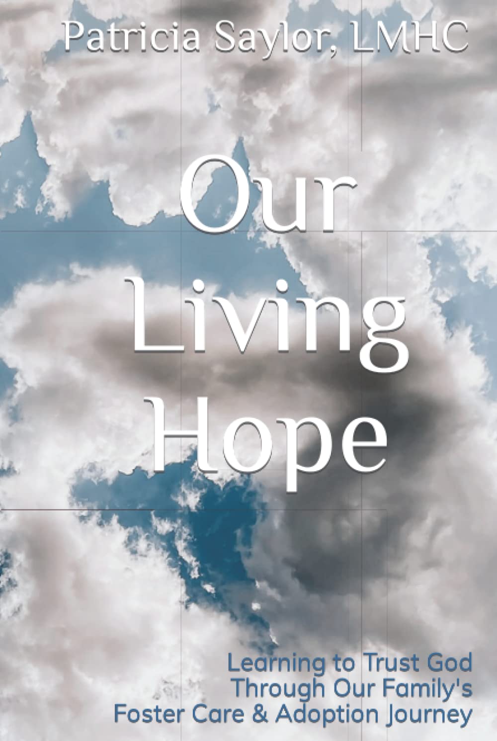 Our Living Hope: Learning to Trust God Through Our Family's Foster Care ...