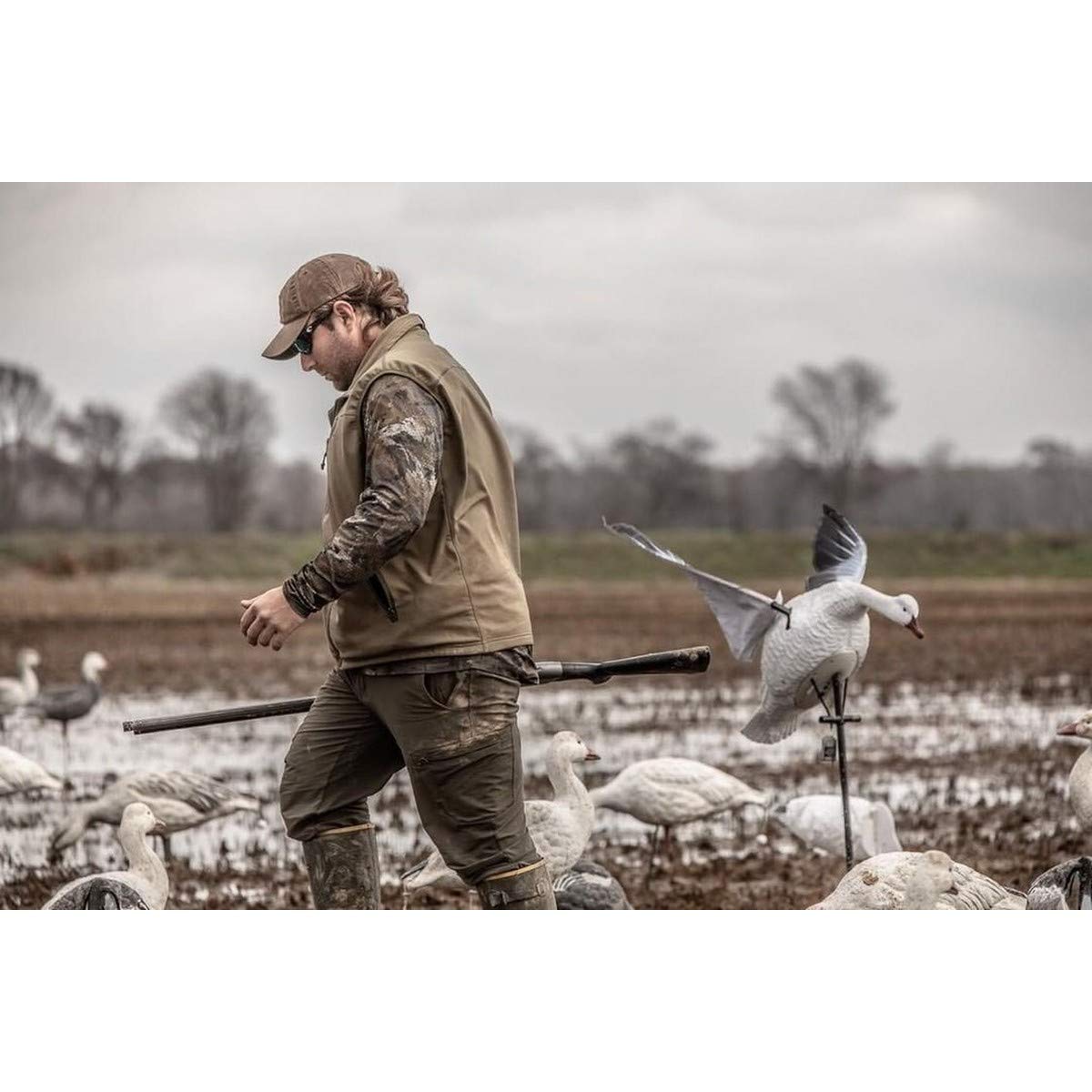 Snapklik.com : Lucky Snow Goose Flyer