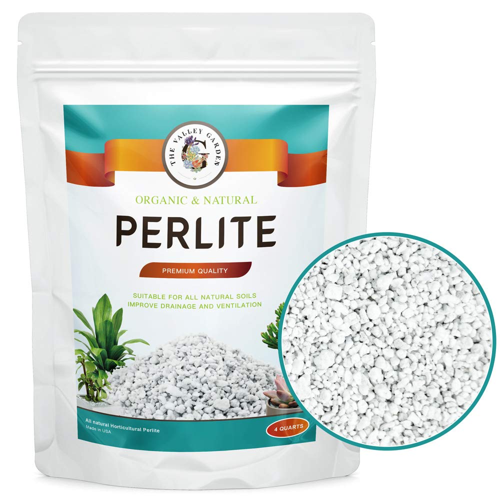 Buy Perlite for All s, All Natural Horticultural Soil Additive ...