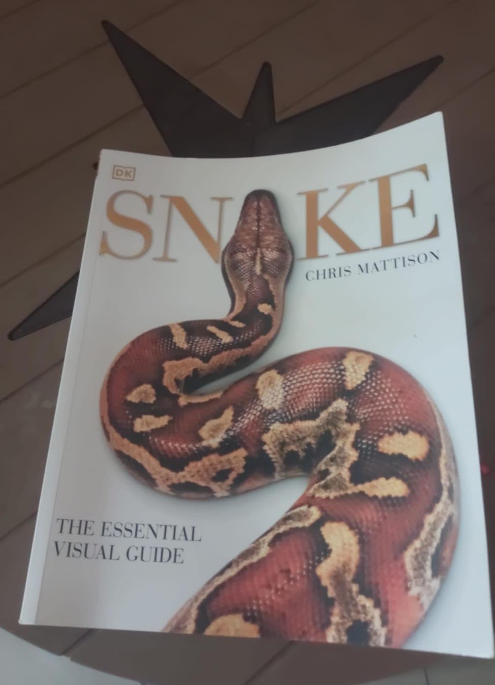 Buy Snake Book Online at Low Prices in India | Snake Reviews & Ratings ...