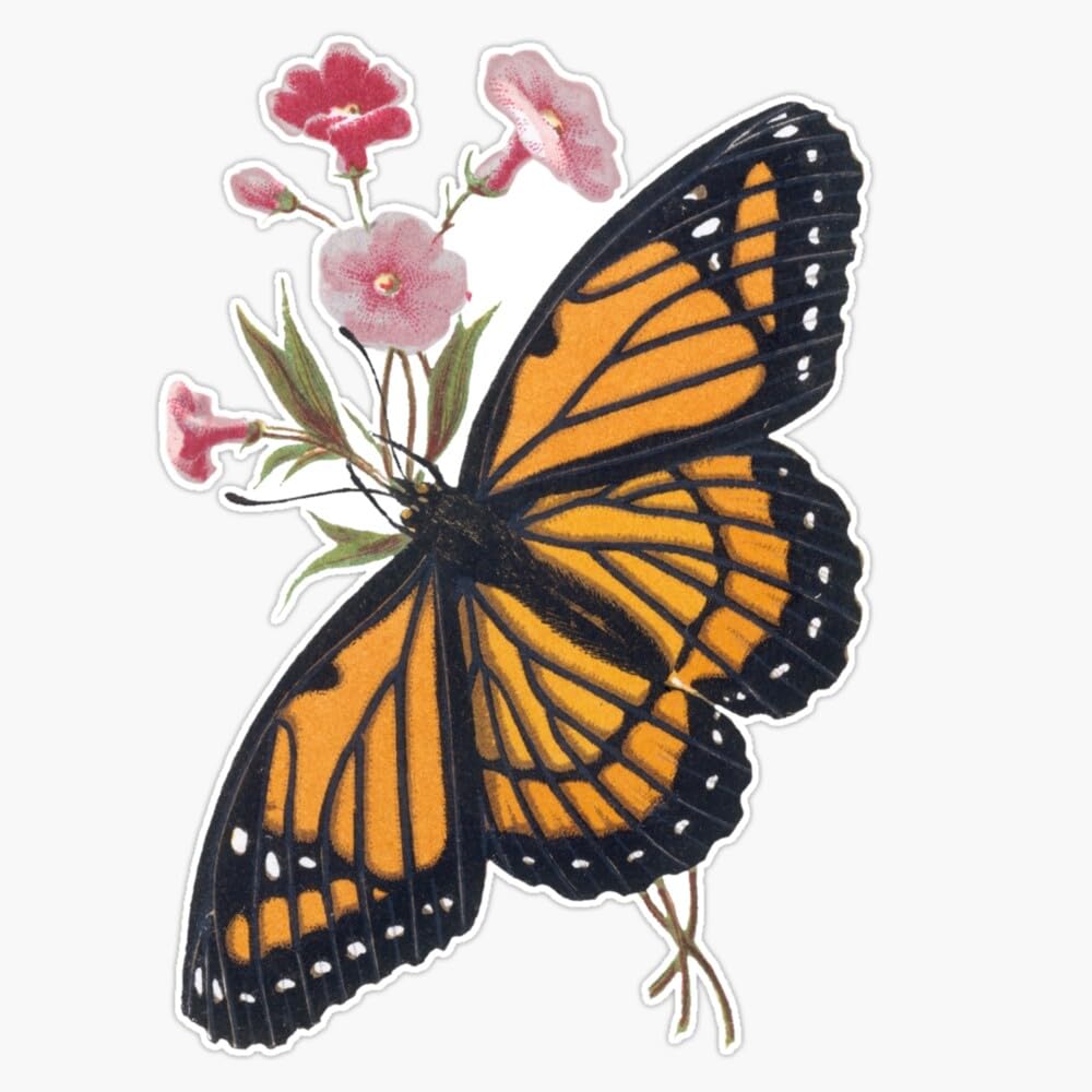 Monarch Butterfly Transparent Background
