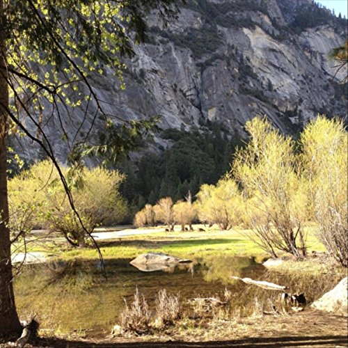 Play Soul in a Landscape by Andrew Stables & Nick Magnus on Amazon Music