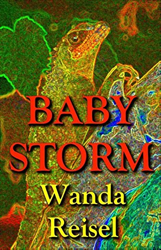 Baby Storm (Dutch Edition) - Kindle edition by Reisel, Wanda ...