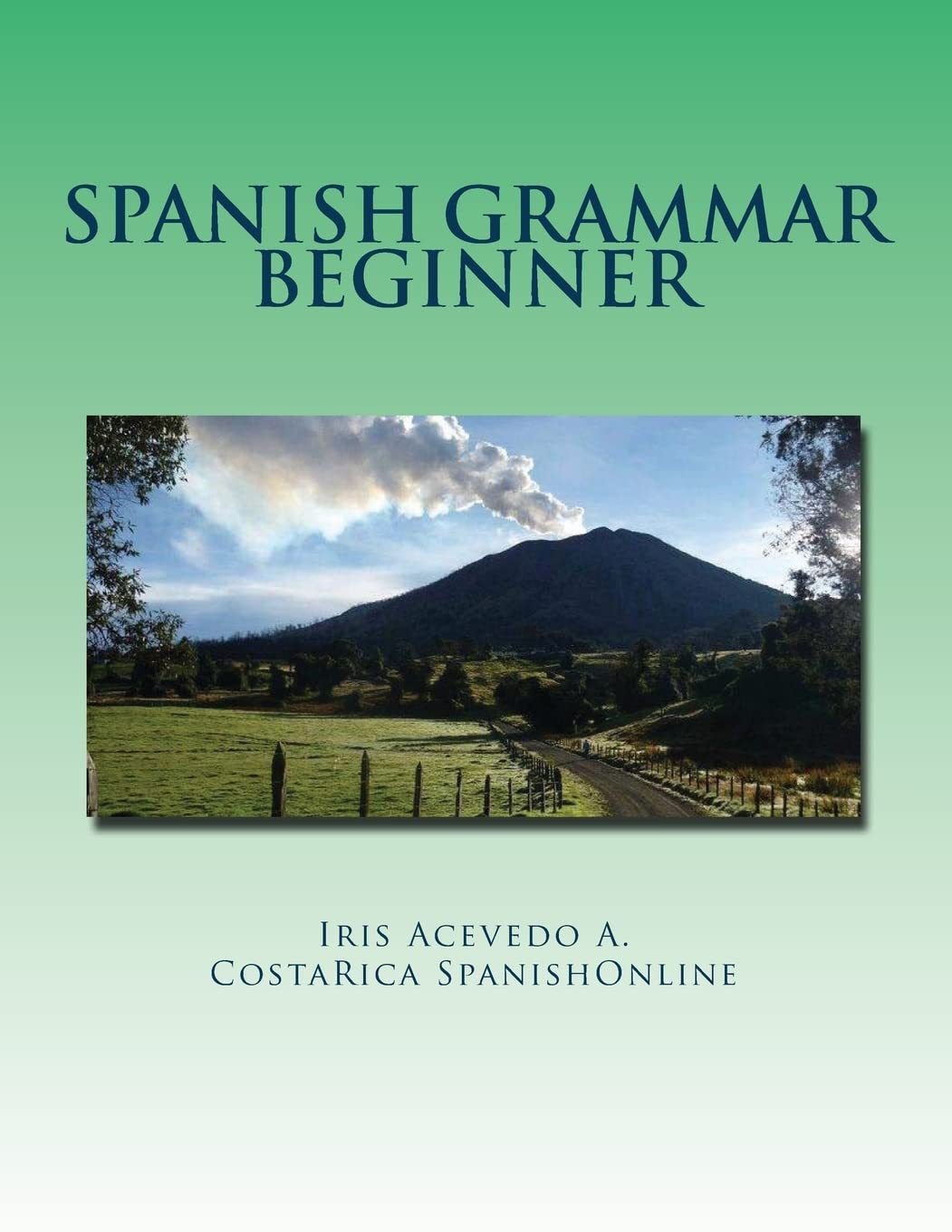 Amazon.com: Spanish Grammar Beginner: A Dual Spanish Grammar Book for ...