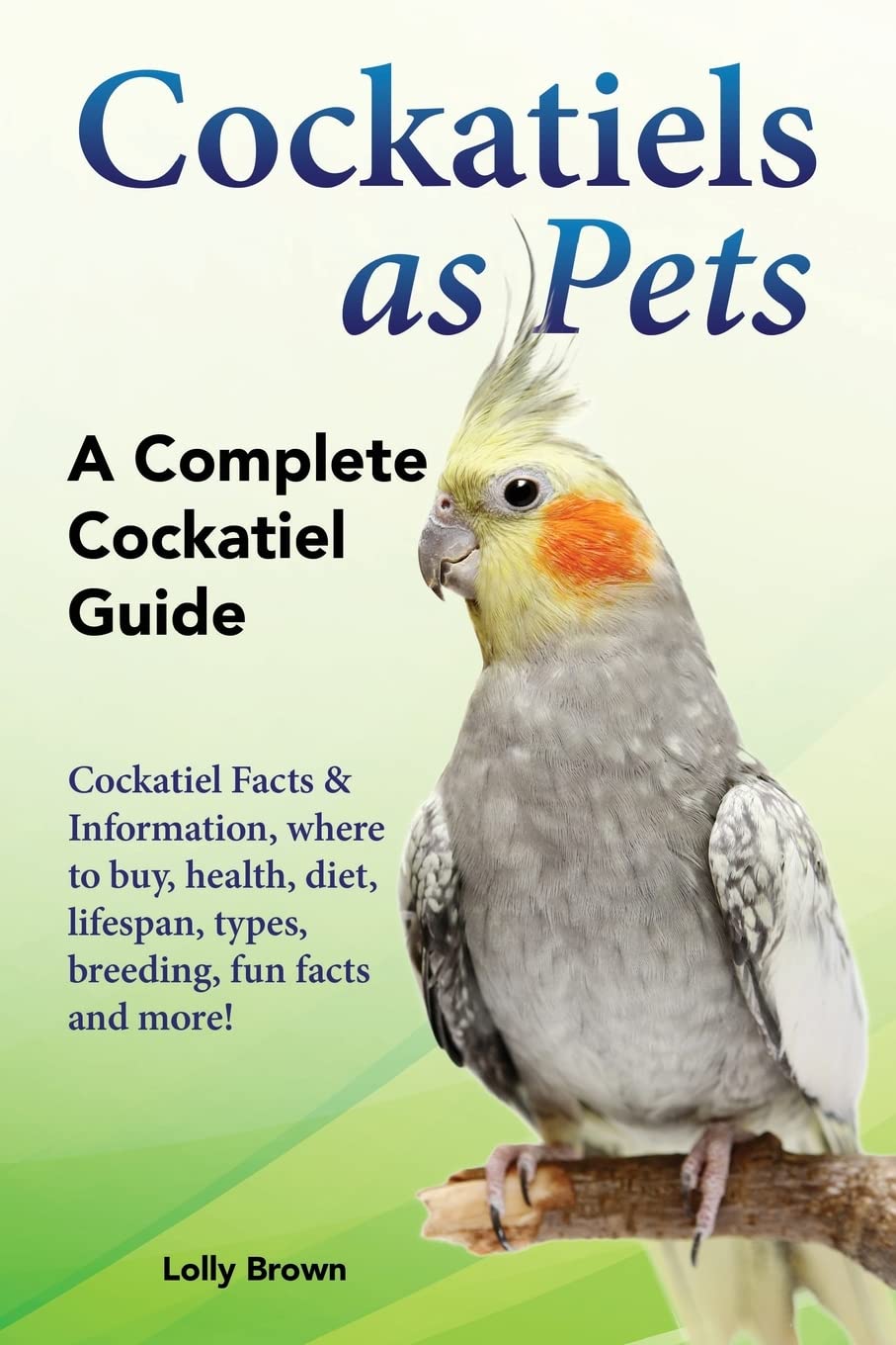 Cockatiels as Pets: Cockatiel Facts & Information, where to buy, health ...