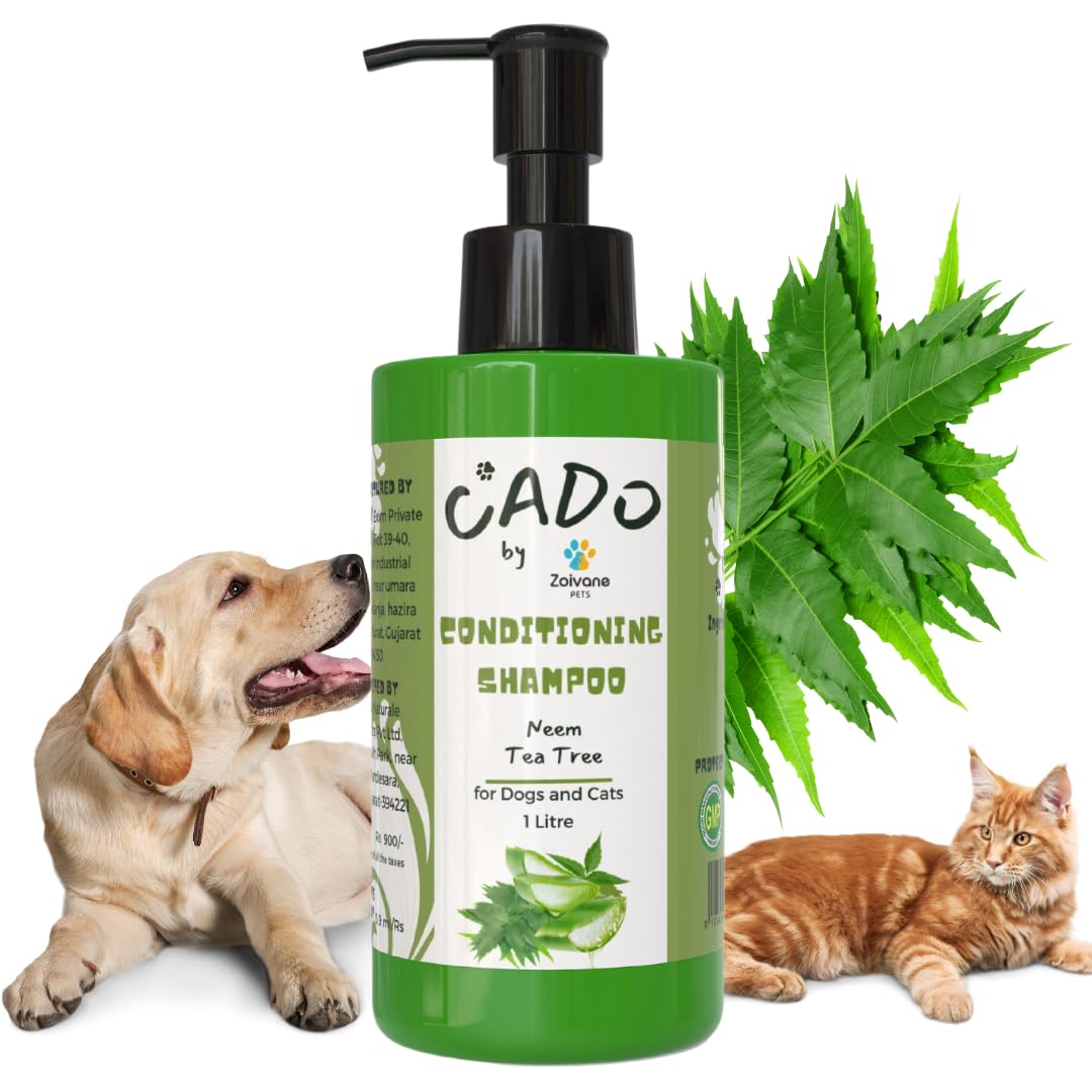 Buy ZOIVANE Cado Neem Dog Shampoo - 1 L | Dog Anti Dandruff Shampoo ...