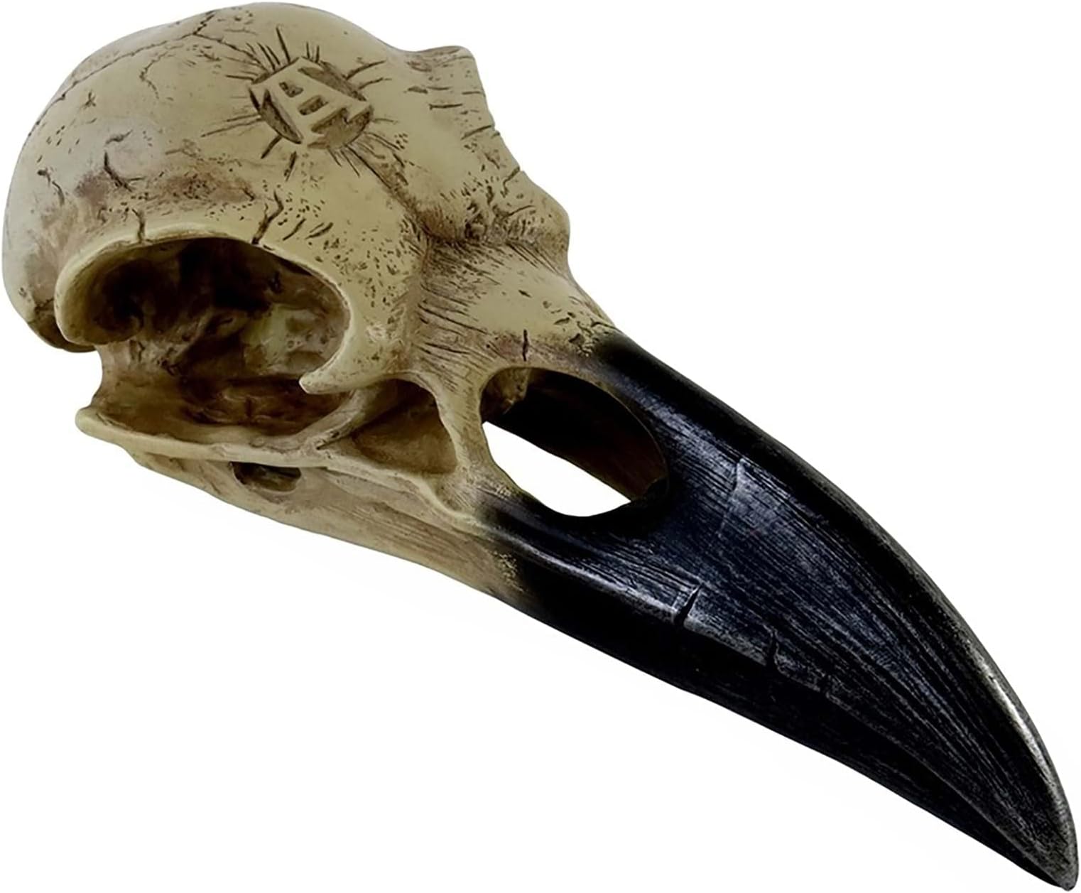 Alchemy Gothic Omega Raven Skull : Amazon.co.uk: Home & Kitchen