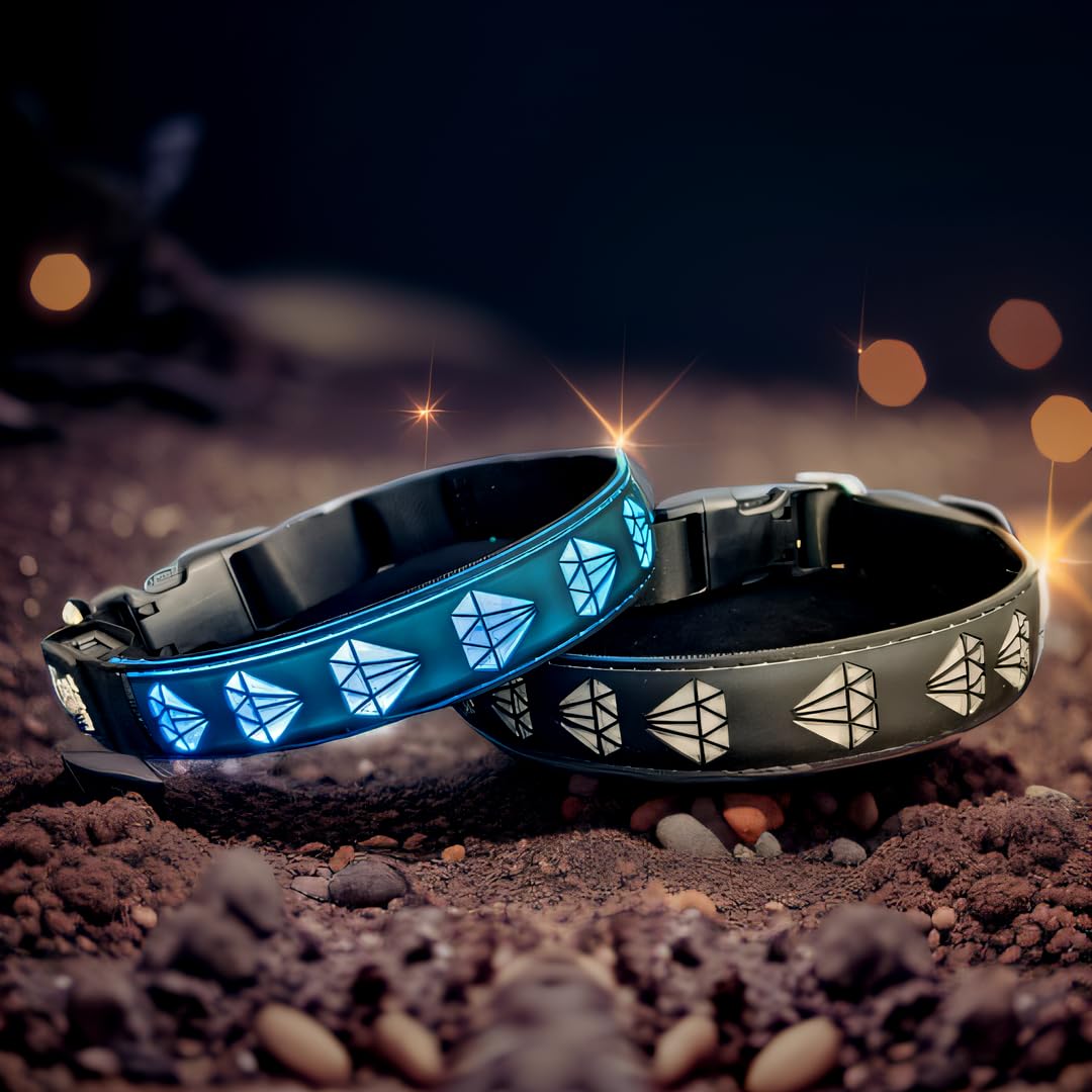 Subversive USB-C led Light up Airtag Dog Collar, Subversive 3D ...
