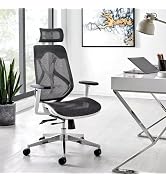 ErgoLab Glider Office Chair High Back Mesh Ergonomic Chair for Office ...
