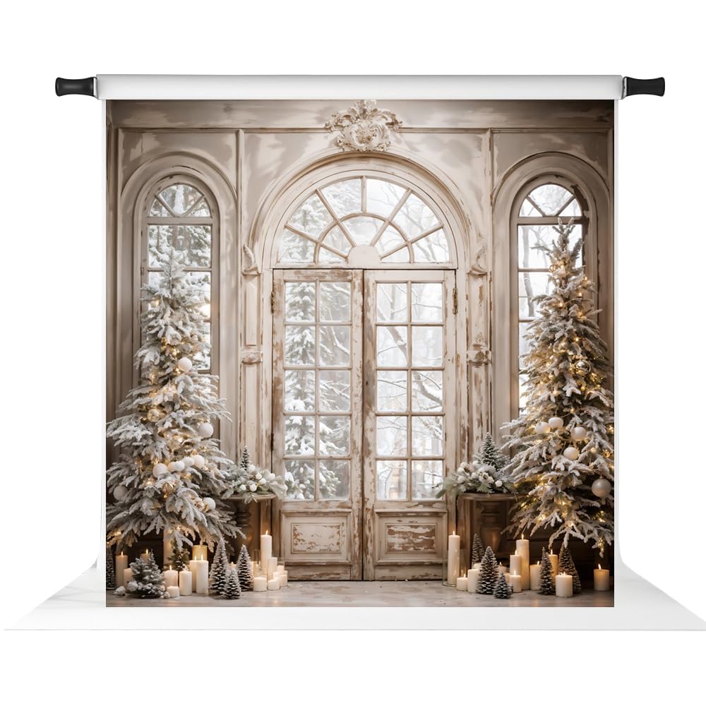 Amazon.com : Kate Elegant Christmas Backdrop for Photo Studio Fabric ...