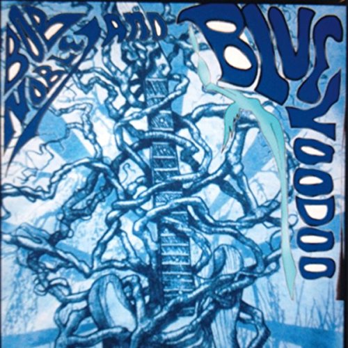 Play Blue Rain by Bob Noble & Blue Voodoo on Amazon Music