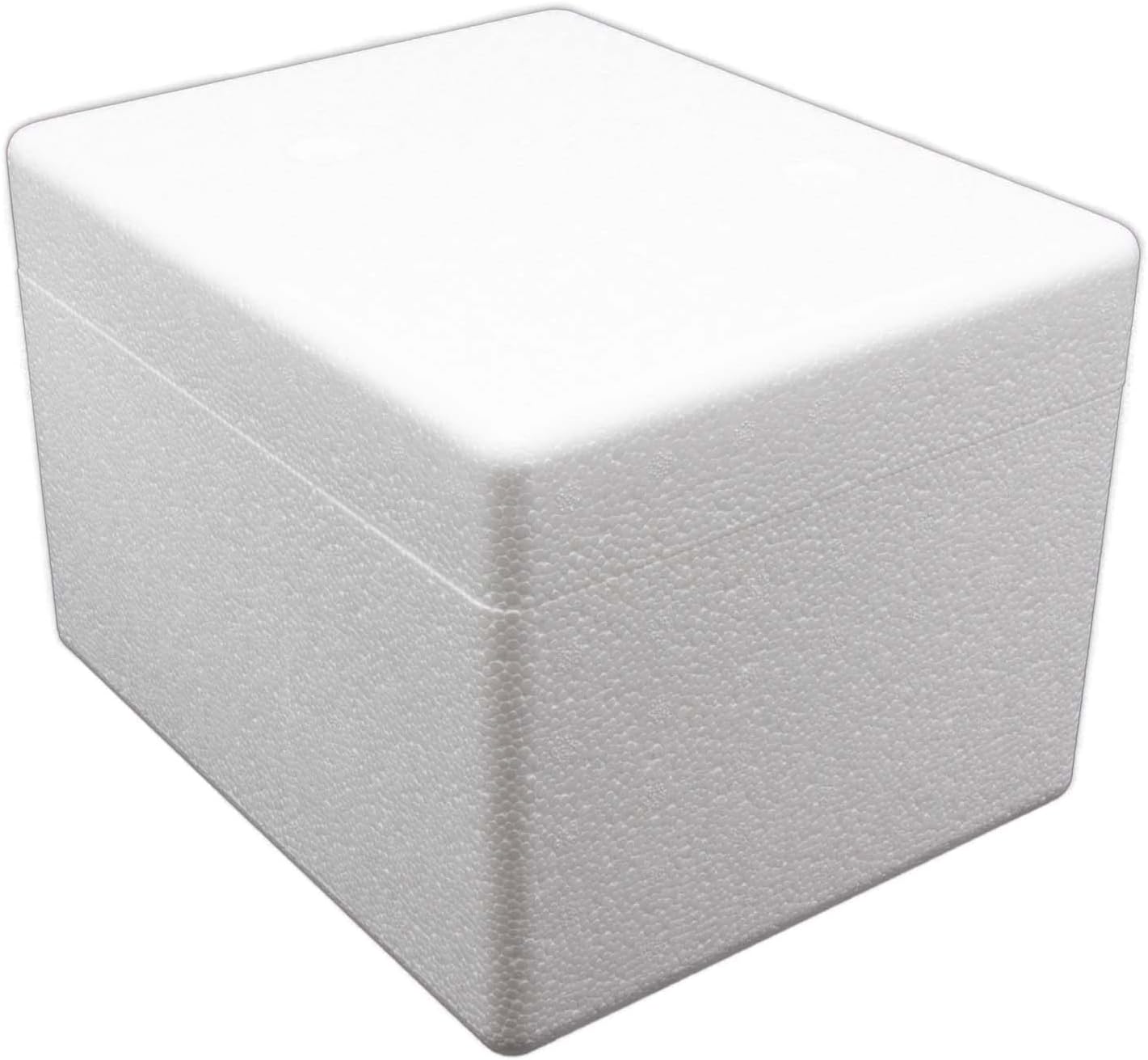 Styroporbox/Thermobox - 3,6 Liter - 26 x 21 x 18 cm/Wandstärke 3 cm ...