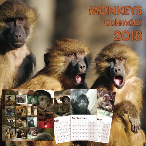 Monkeys calendar 2018: Monkey Calendar: 9781981637270: Amazon.com: Books