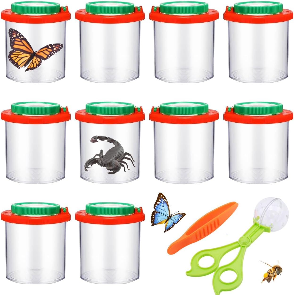 Amazon.com: Bygytyo Insert Bug Viewer Kit, Set of 12 Magnifying Insect Box Bug Catcher Kit with ...