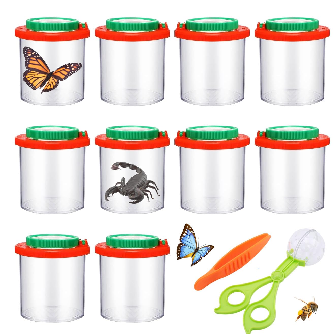 Amazon.com: Bygytyo Insect Bug Viewer Kit, Set of 12 Magnifying Insect ...
