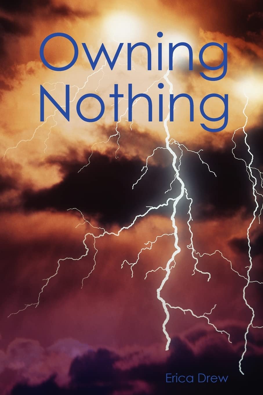 Owning Nothing: Drew, Erica: 9781847285225: Amazon.com: Books