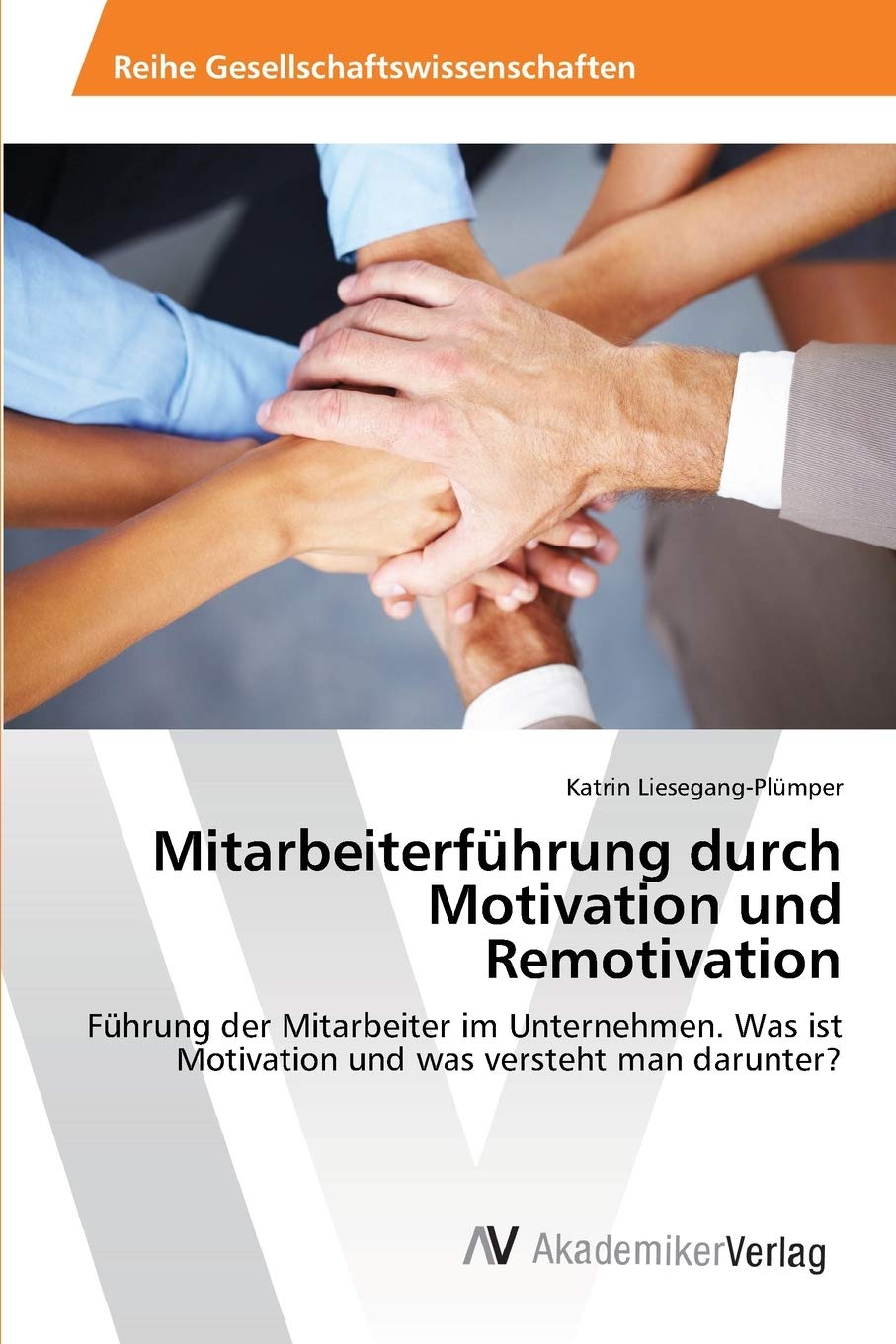 Mitarbeiterfuhrung Durch Motivation Und Remotivation Fuhrung Der ...