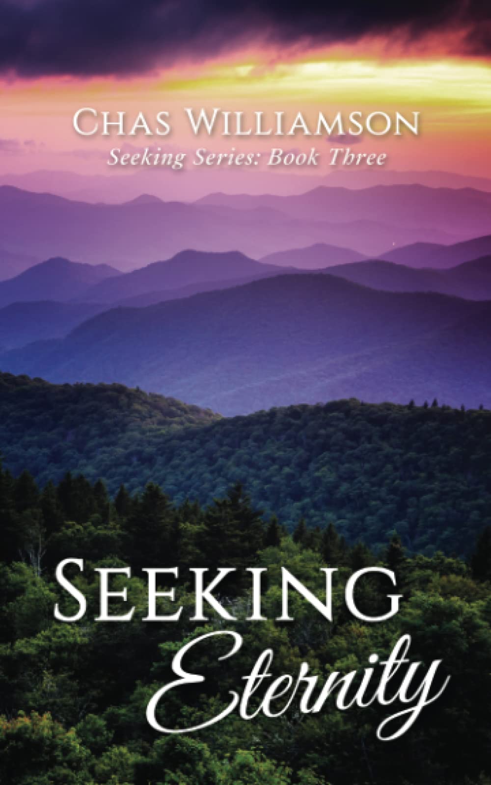 Seeking Eternity (The Seeking Series): Williamson, Chas: 9781949150087 ...