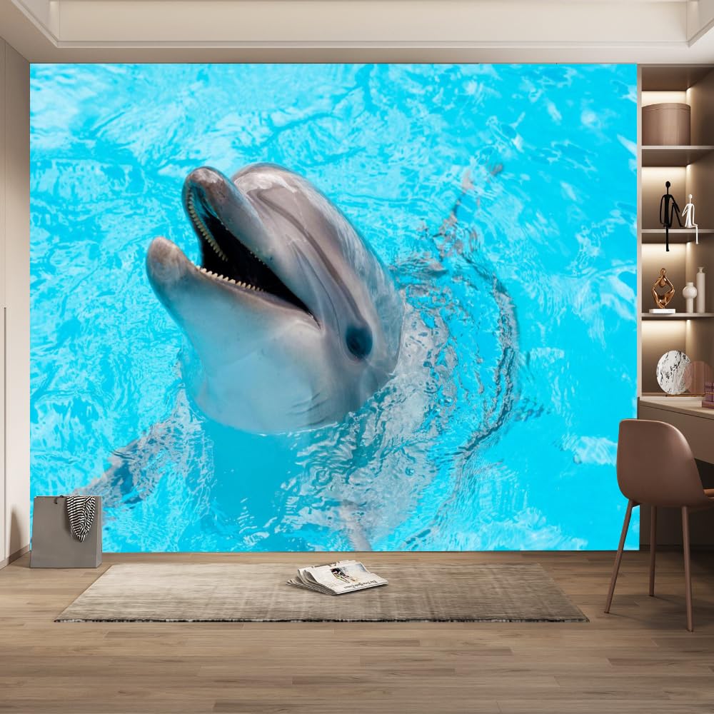 Cute Dolphin Wallpaper