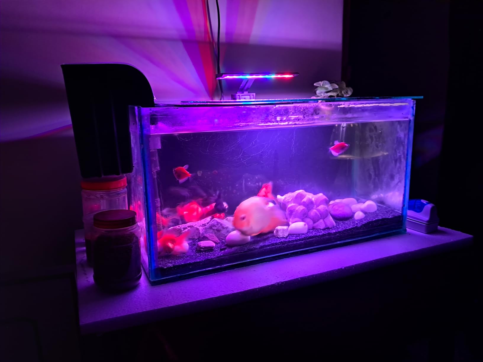 WA Turtle Tortoise Nutrafeed Floating Sticks 175G, All Life Stages ...