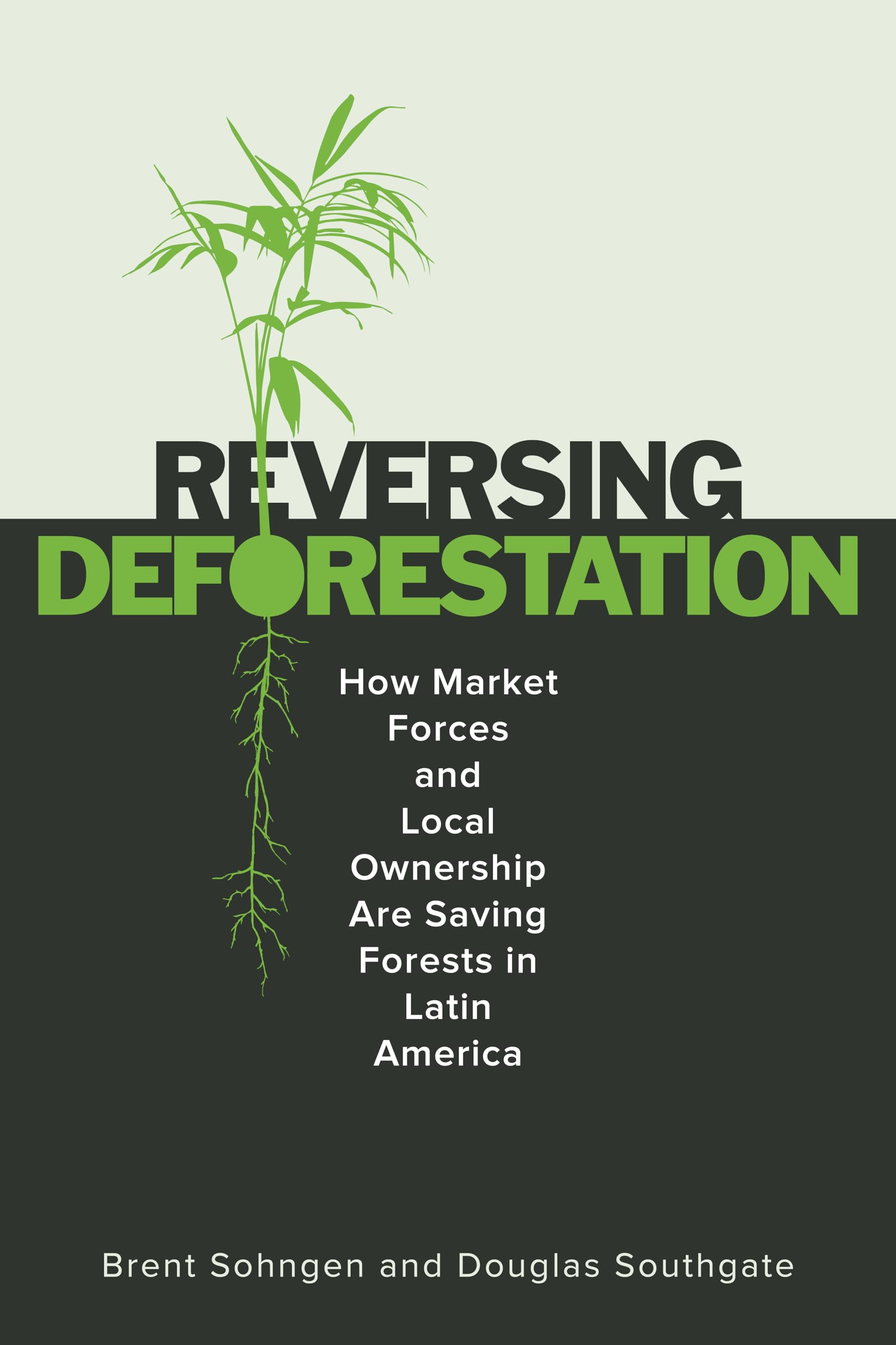Reversing Deforestation: How Market Forces and Local Ownership Are ...