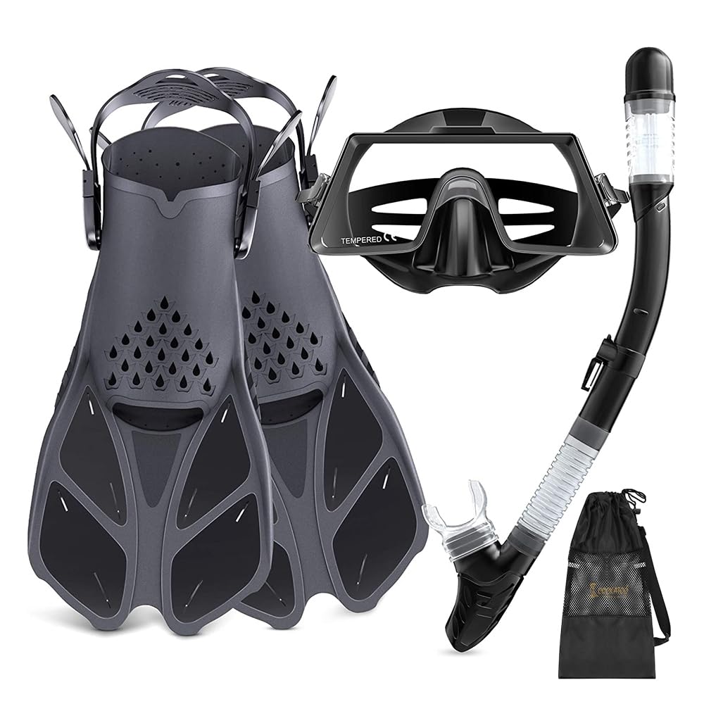 Cockatoo SS01- Snorkel Set for Adults with Mask, Dry Top Snorkel and ...