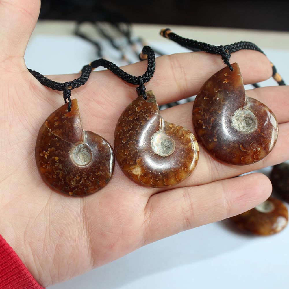 Amazon.com: 1Pcs Madagascar Spotted Conch Polished Jade Pattern ...