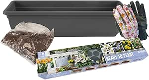 Complete Ready to Plant Flower Bundle Set - Includes Biodegradeable ...