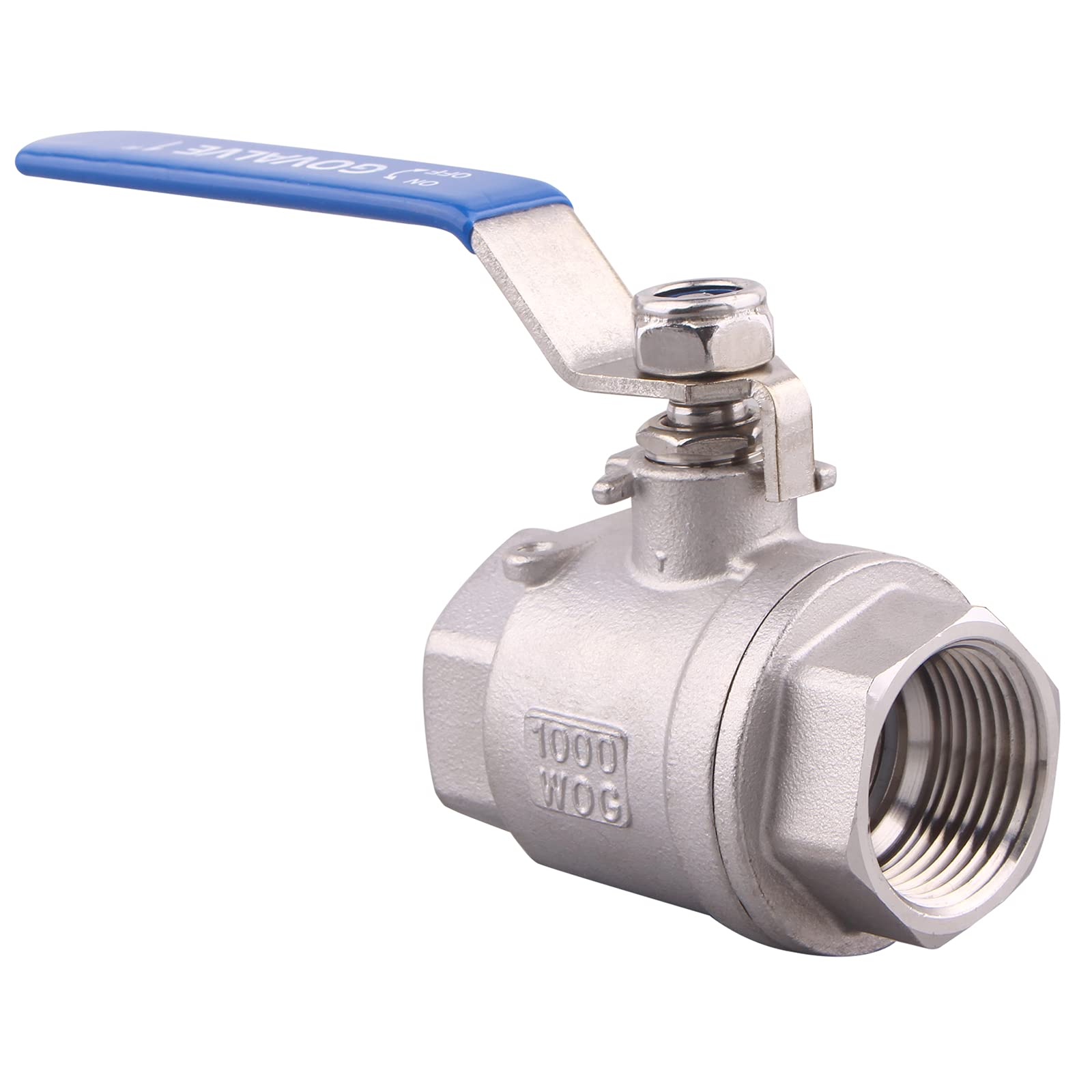Snapklik.com : GOVALVE 2-PC Ball Valve Stainless Steel