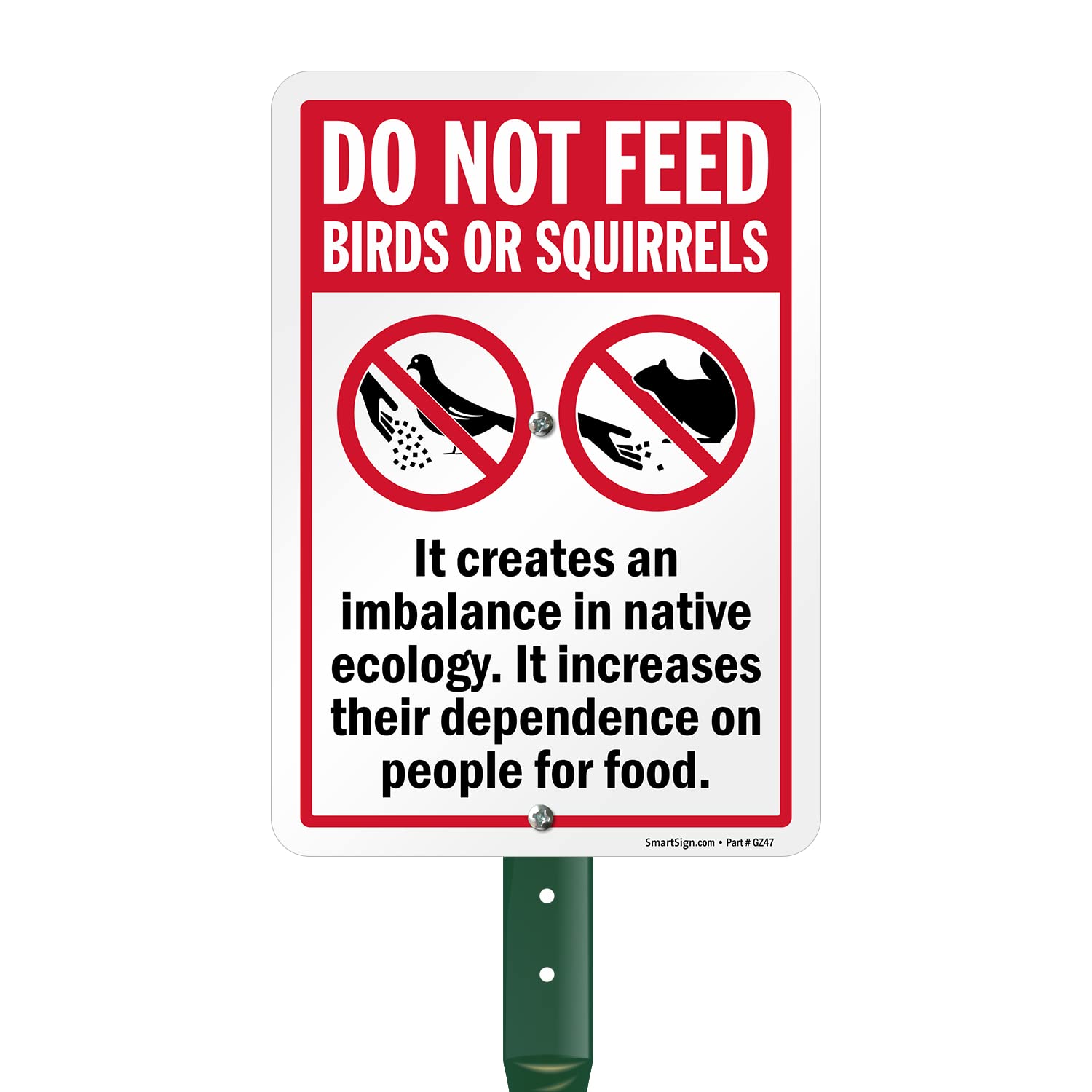 Amazon.com: SmartSign 10" x 7" 'Do Not Feed Birds Or Squirrels - It ...