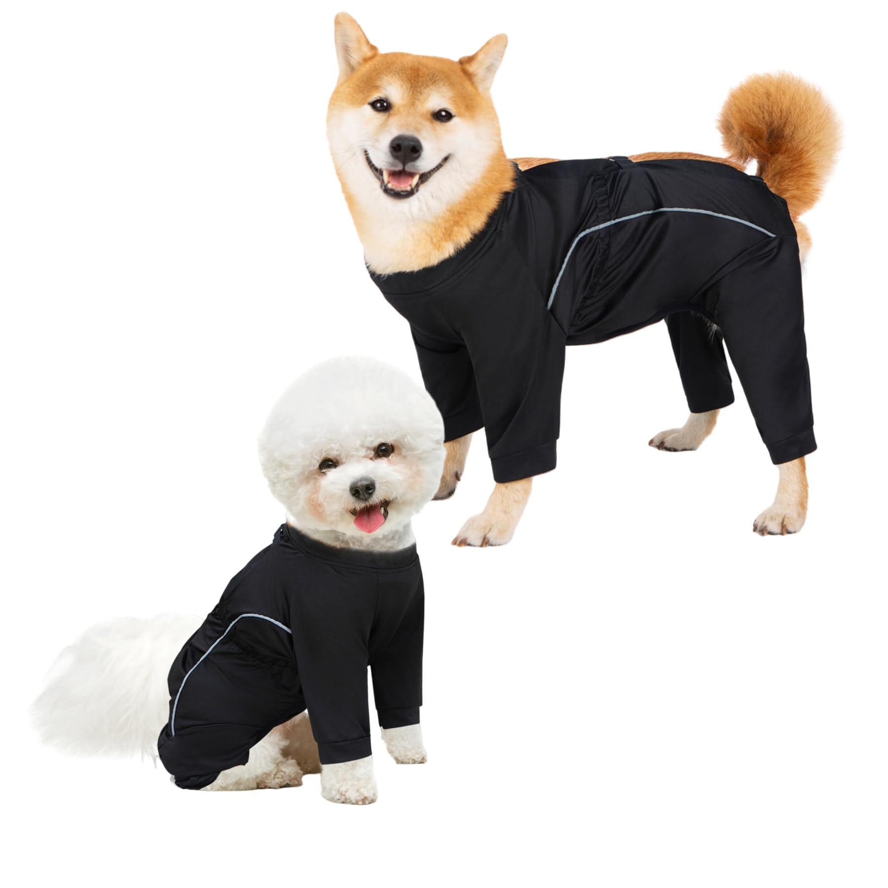 Amazon.com : Dog Protective Pants, Waterproof Lightweight Dog Snow ...