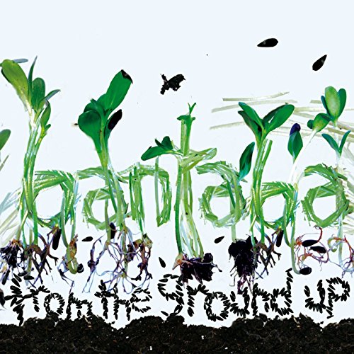 Play From the Ground Up by bantaba on Amazon Music